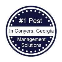 Clever Solutions Pest Management - Atlanta Pest Control Management ...